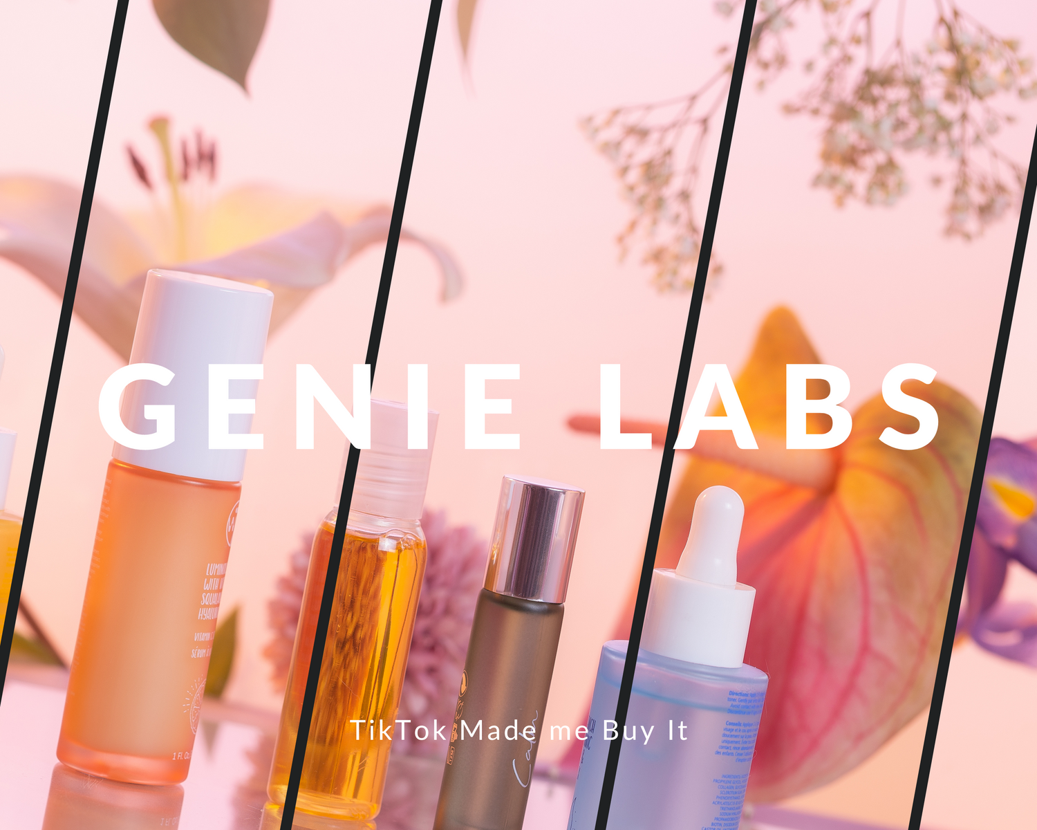 Genie Labs